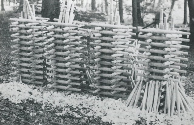 Chairs – Mike Abbott's Living Wood